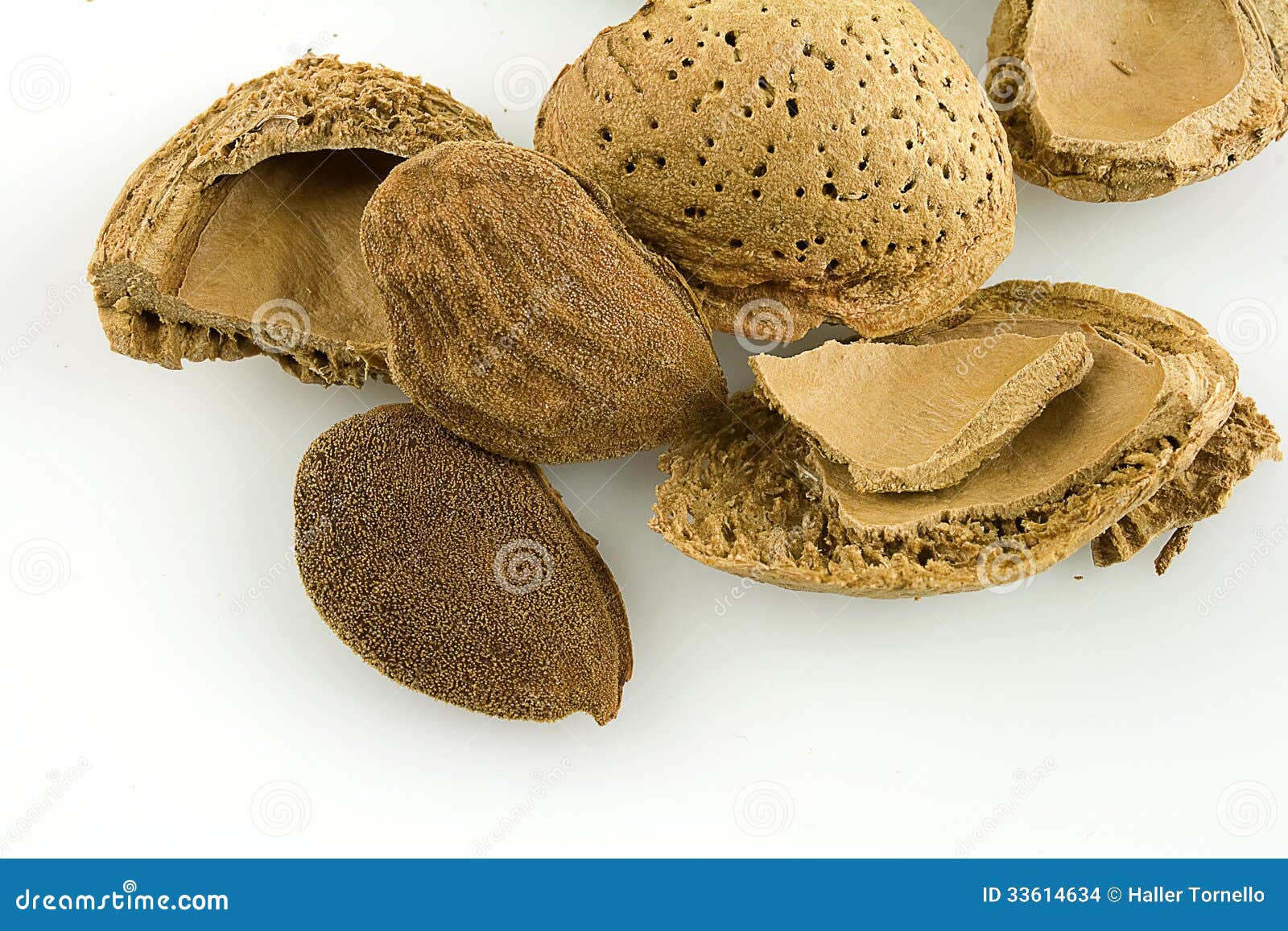 Almond stock photo. Image of ingredients, food, shell - 33614634