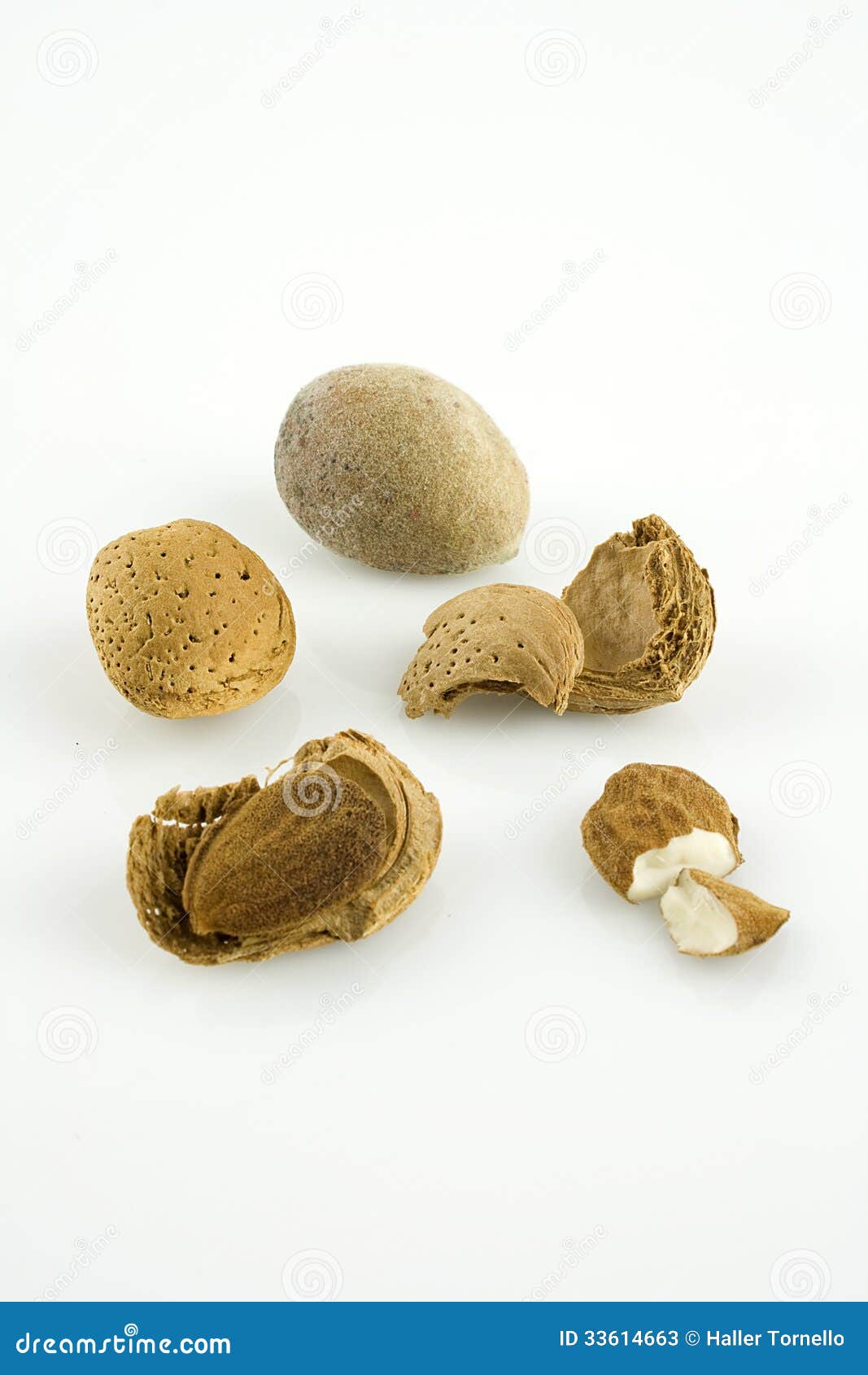 Almond stock image. Image of superfood, break, produce - 33614663