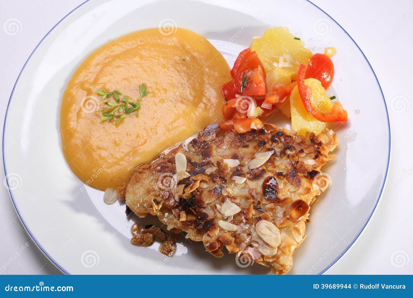 Almond Crusted Fish and Pumpkin Puree Stock Photo - Image of crusted ...