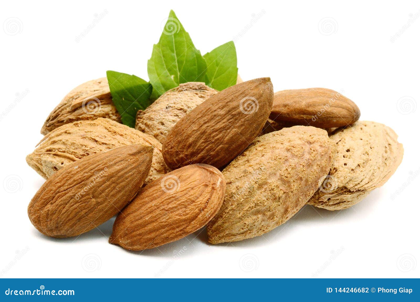 Almond cut. stock photo. Image of fine, pine, heap, seed - 144246682