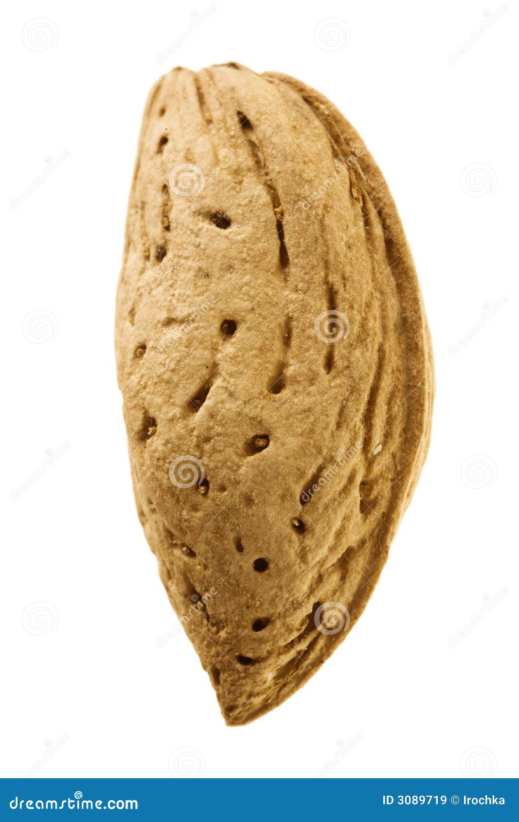 Almond details stock image. Image of nutritious, outside - 3089719