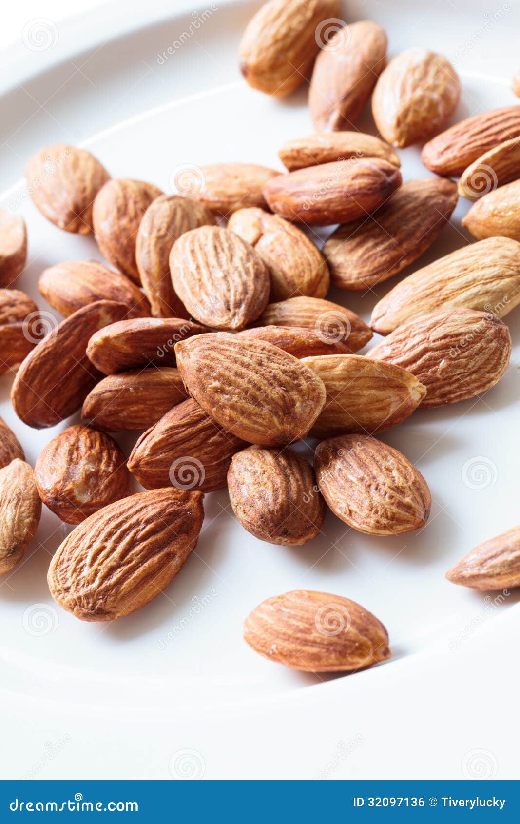 Almond stock photo. Image of energy, almond, macro, nutshell - 32097136