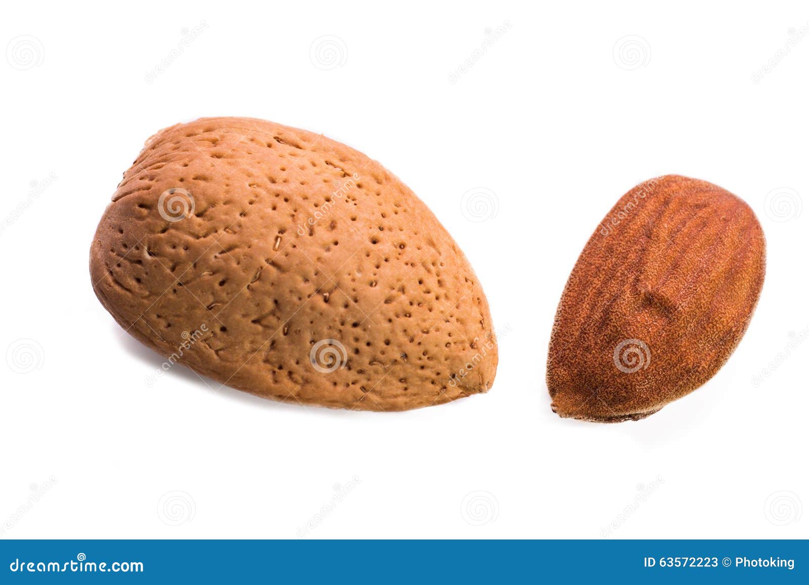 Almond stock image. Image of extreme, closeup, isolated - 63572223