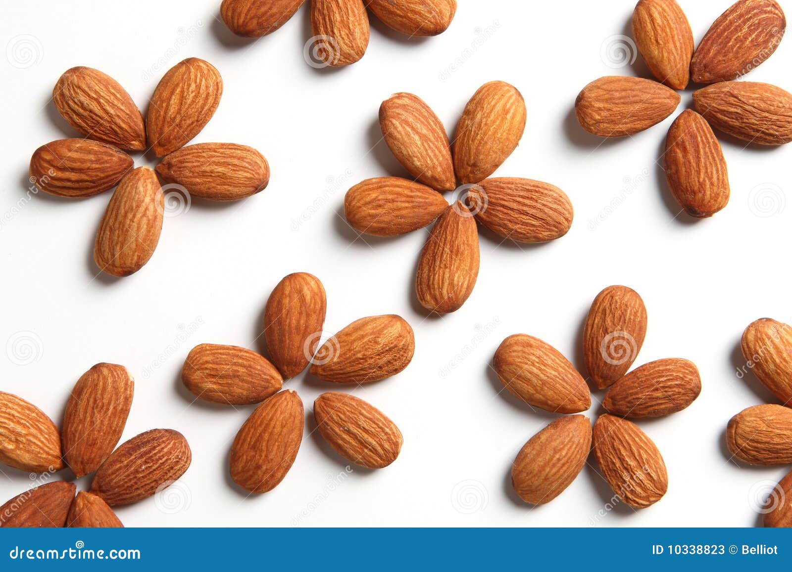 Almond Flowers stock image. Image of kernel, nutrition - 10338823