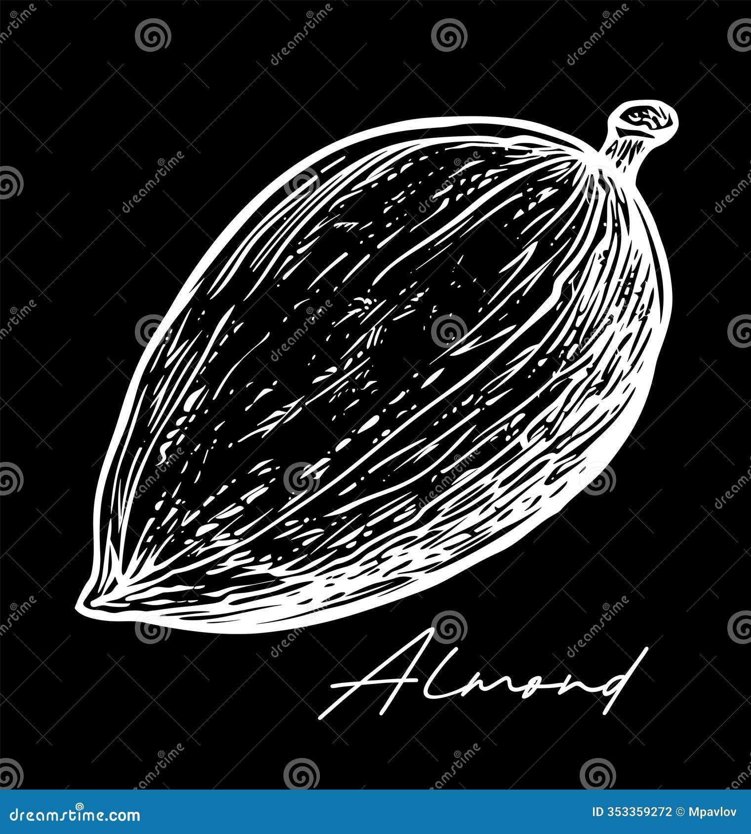 Almond Hand Drawn Vertical Composition, Ink Drawing Of A Pile Of ...