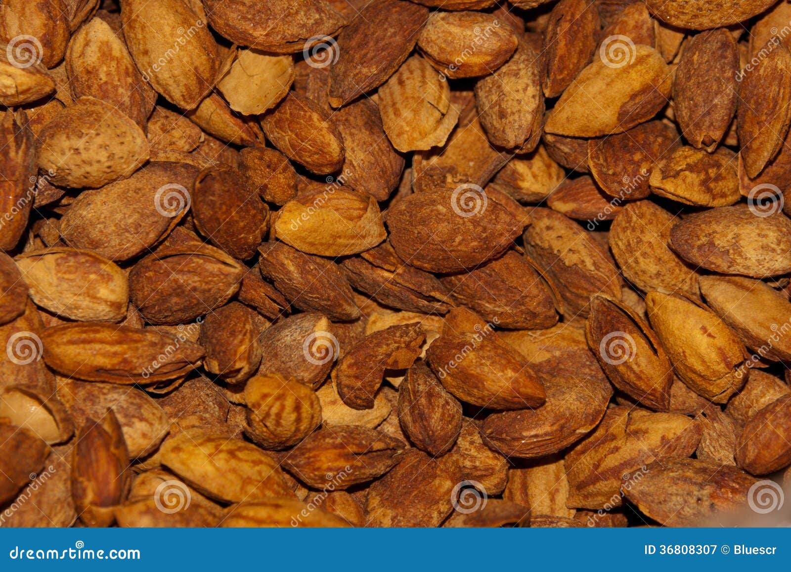 Almond stock image. Image of dietary, cutout, detail - 36808307
