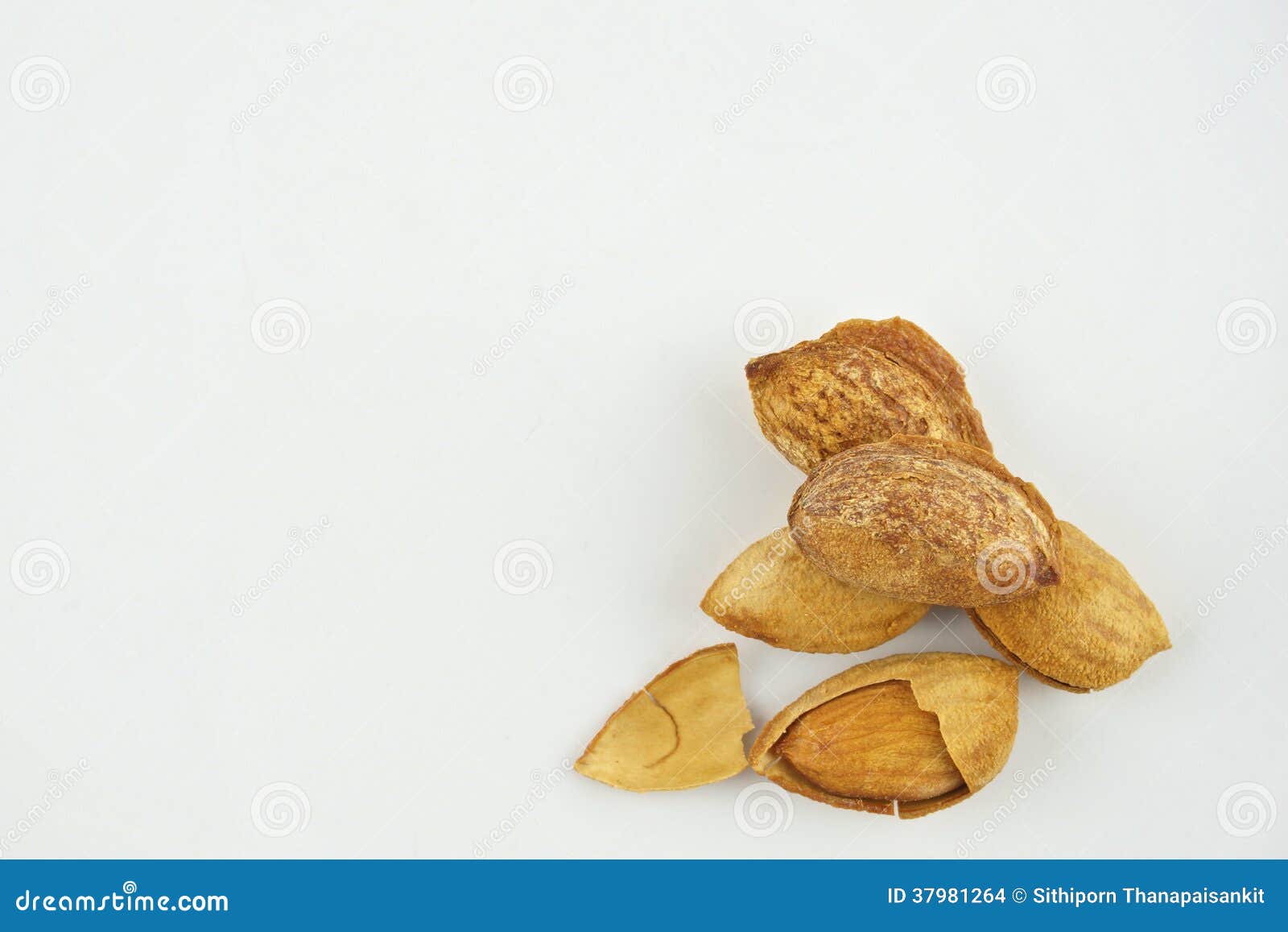 Almond with hull and husk stock photo. Image of peanuts - 37981264