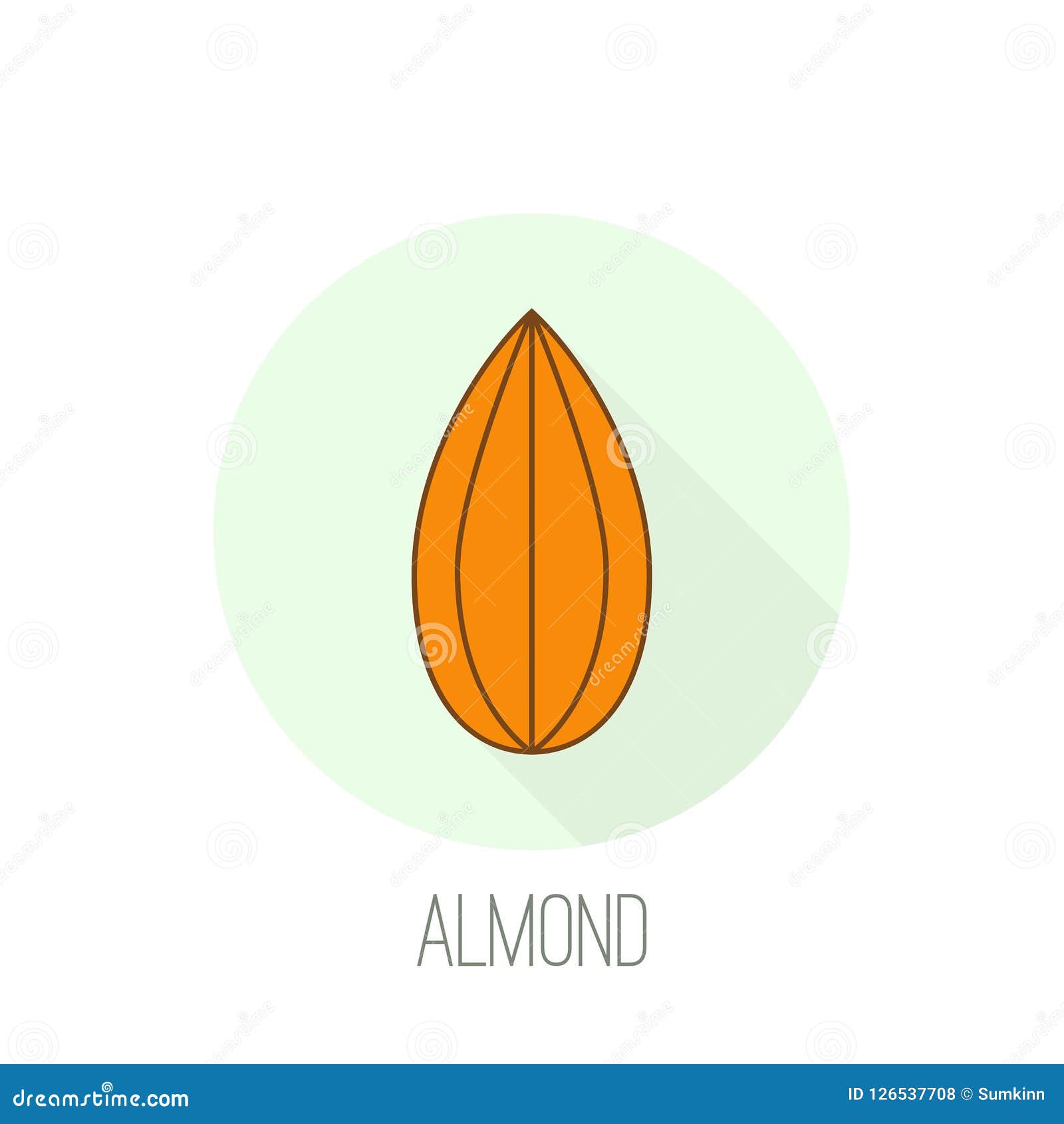 Almond icon nut. stock vector. Illustration of closeup - 126537708