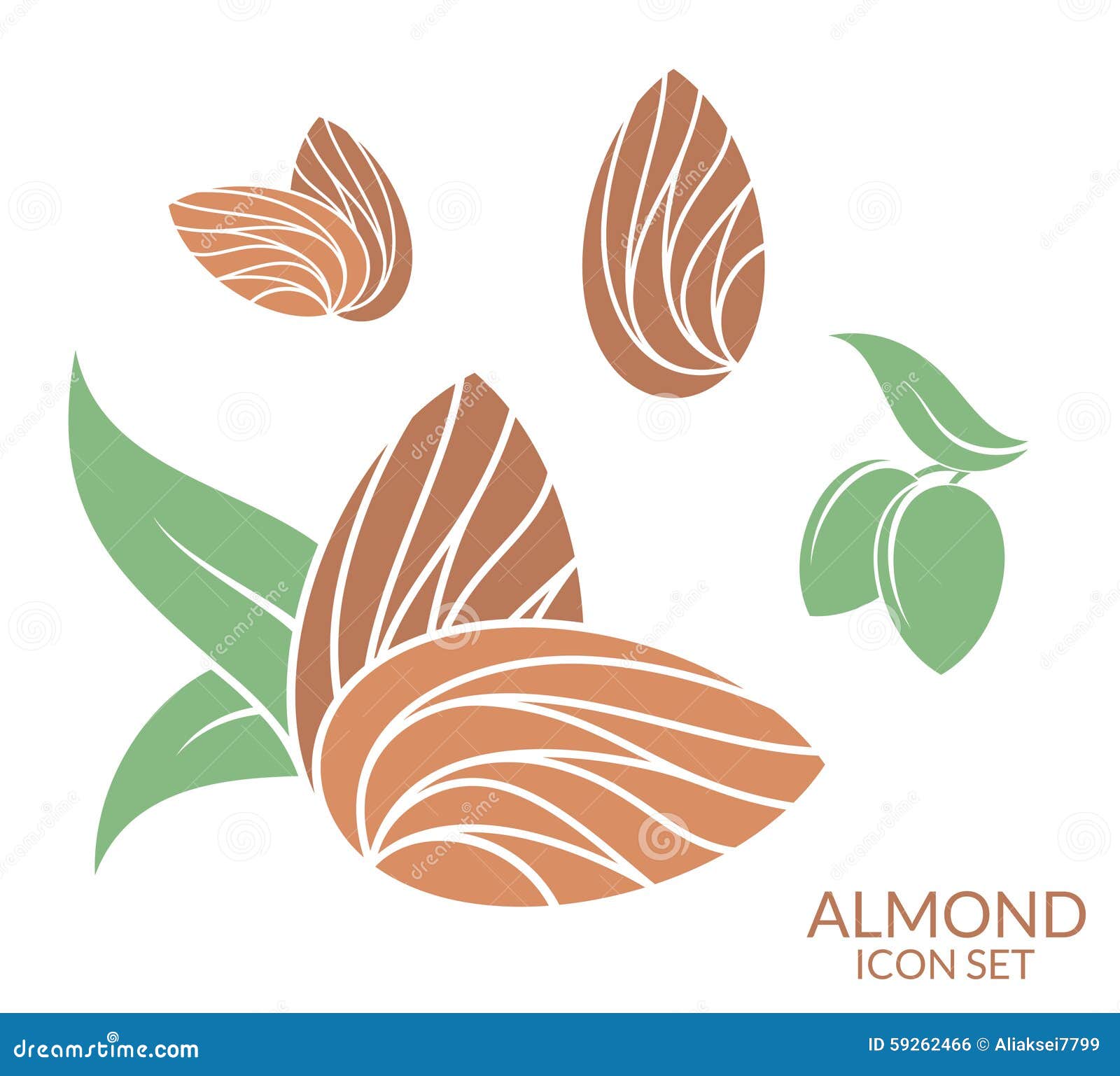 Almond. Icon set stock vector. Illustration of healthy - 59262466