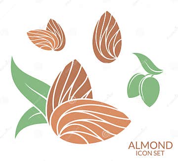 Almond. Icon set stock vector. Illustration of healthy - 59262466