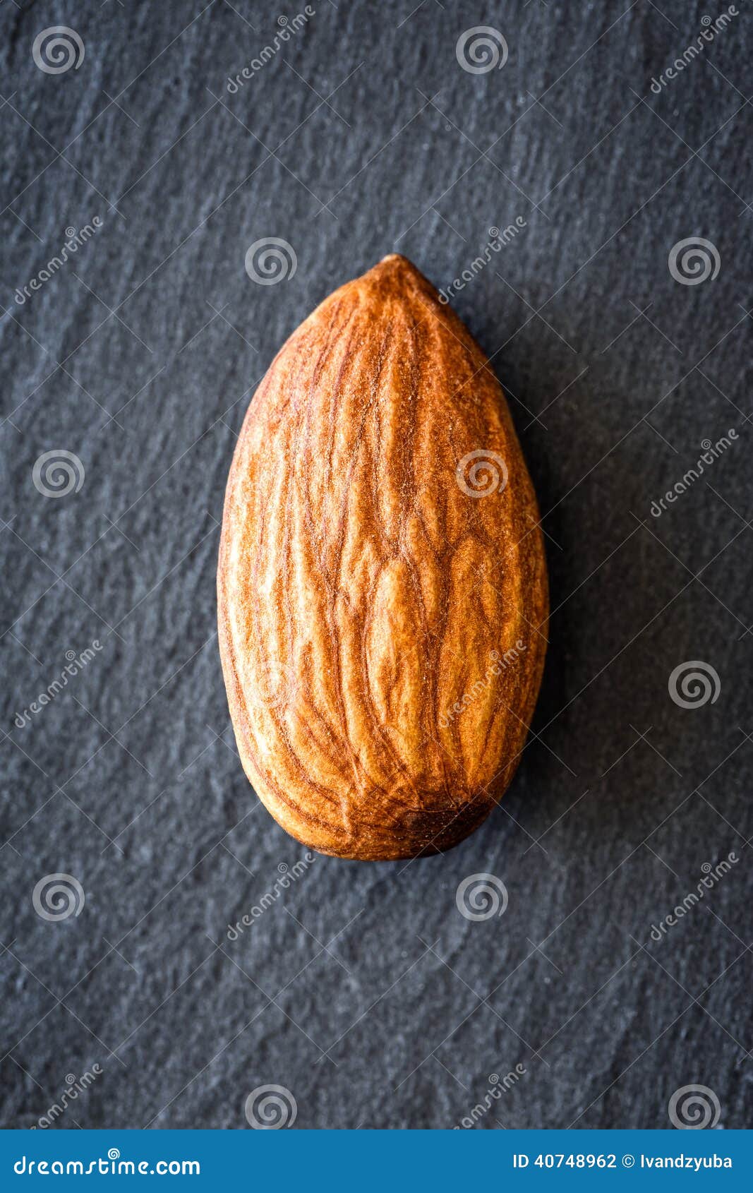 Almond stock photo. Image of ingredient, food, healthy - 40748962