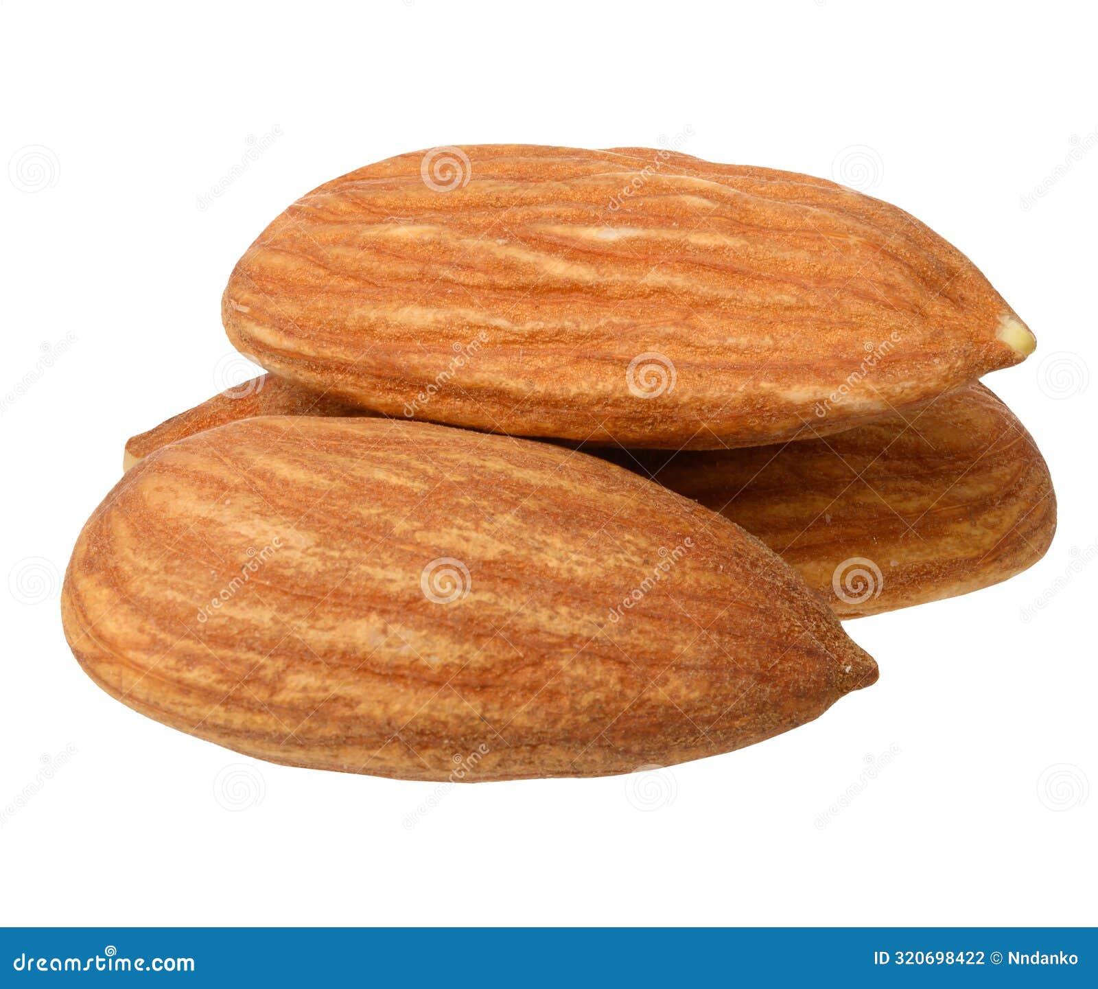 Almond Kernel Isolated Royalty-Free Stock Photo | CartoonDealer.com ...