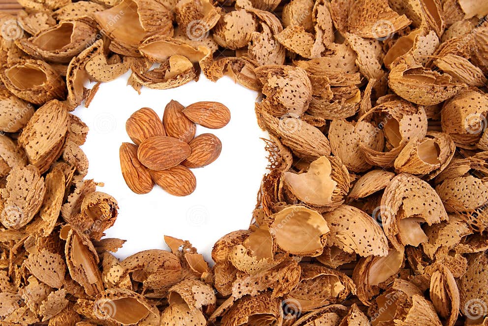 Almond kernels among hulls stock image. Image of ingredient - 19262807
