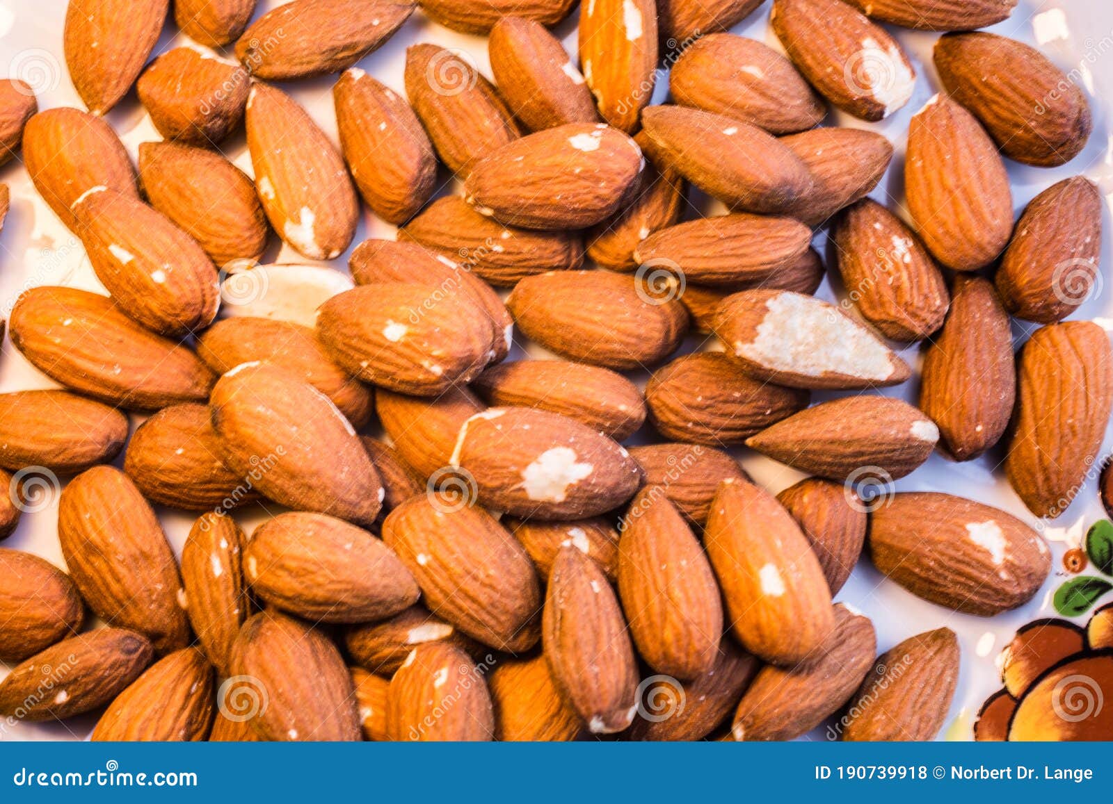 Almond kernels with husk stock photo. Image of hard - 190739918