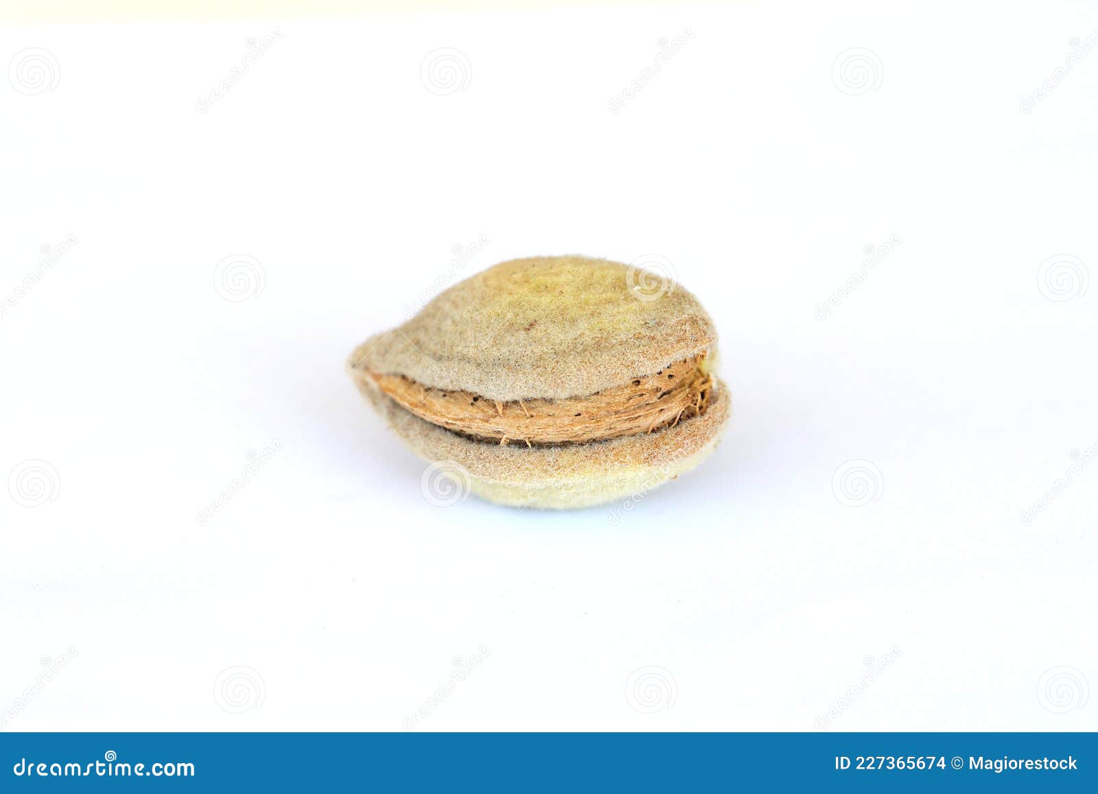 Almond with Kernels Isolated on White Background. Raw Fresh Almonds ...
