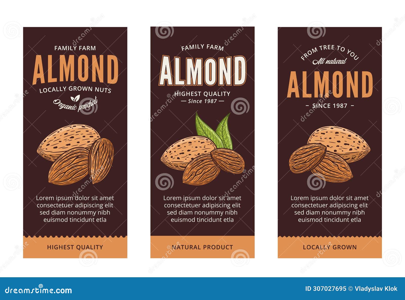 Almond Labels in Modern Style Stock Vector - Illustration of vector ...