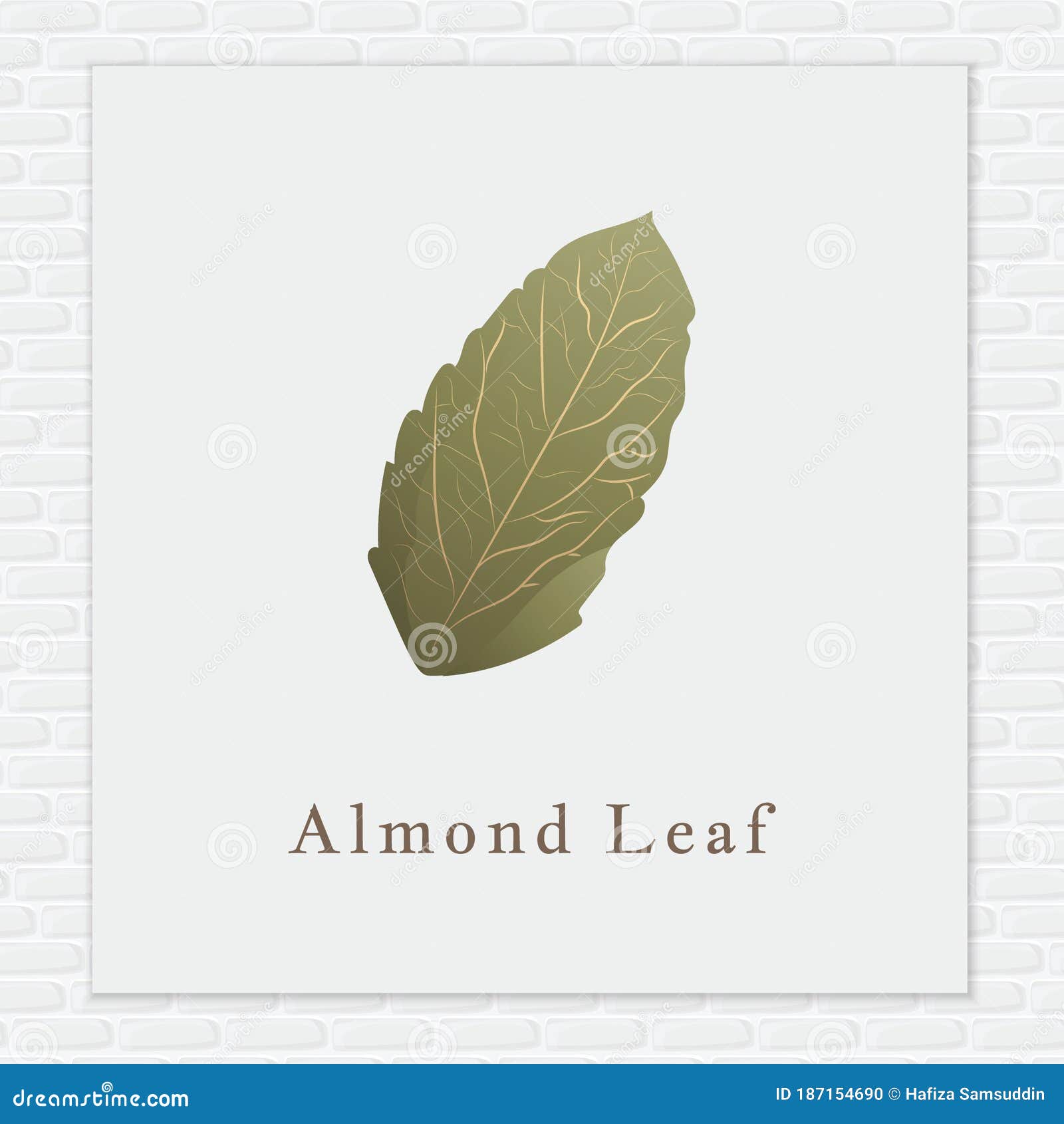 Almond Leaf. Vector Illustration Decorative Design Stock Vector ...