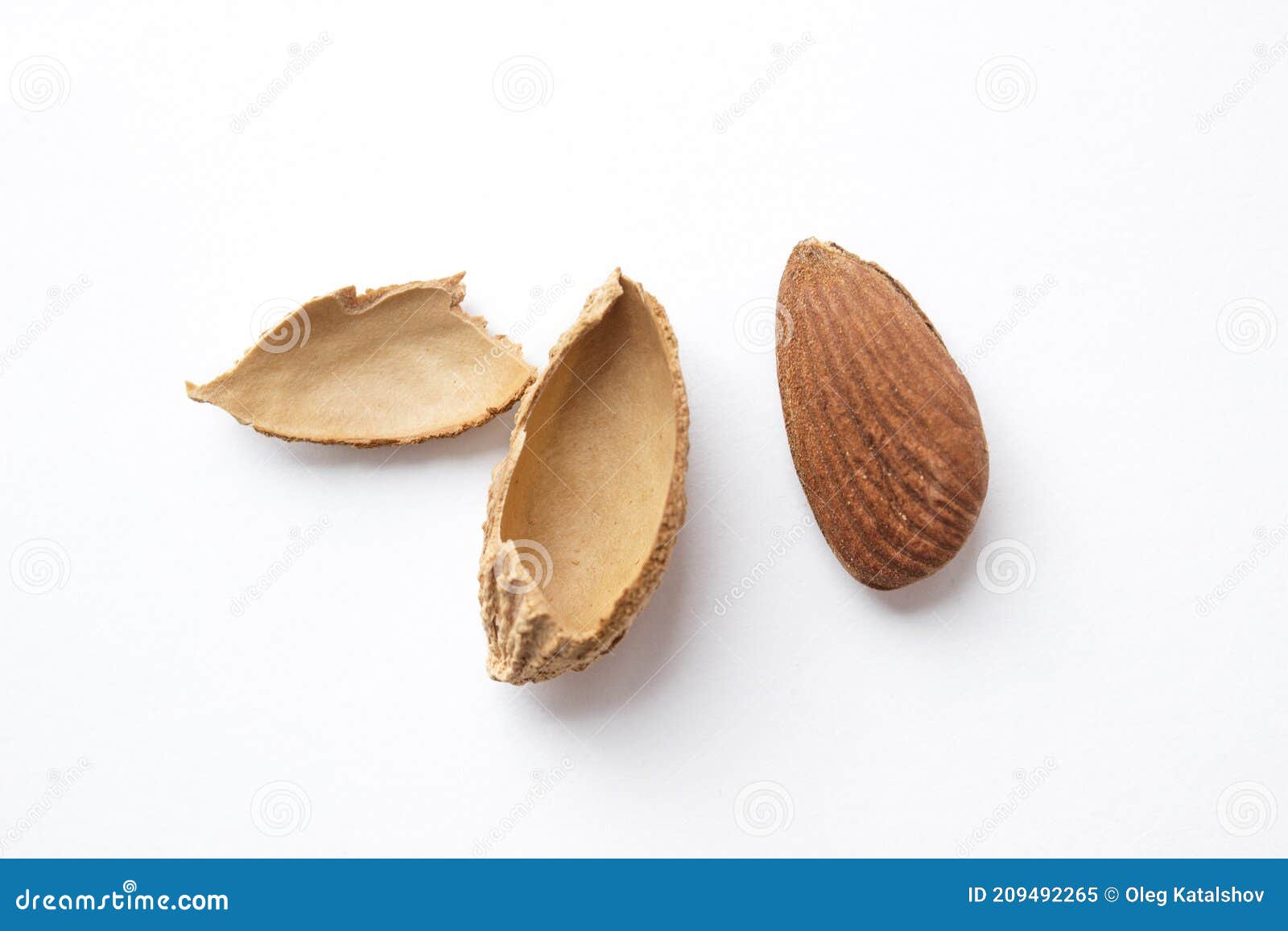 The Almond Next To the Shell on a White Background. a Nut with a ...