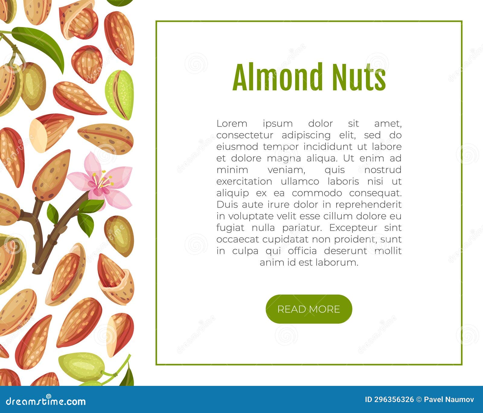 Almond Nut Banner Design with Shell and Kernel Vector Template Stock ...
