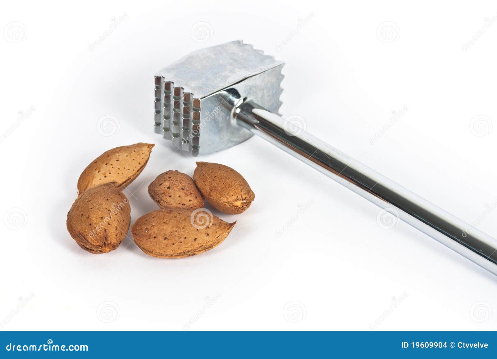 Almond nut and hammer stock photo. Image of medicine - 19609904