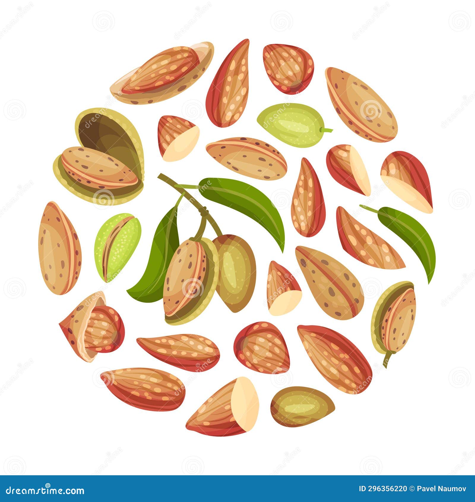 Almond Nut Round Shape Design with Shell and Kernel Vector Template ...
