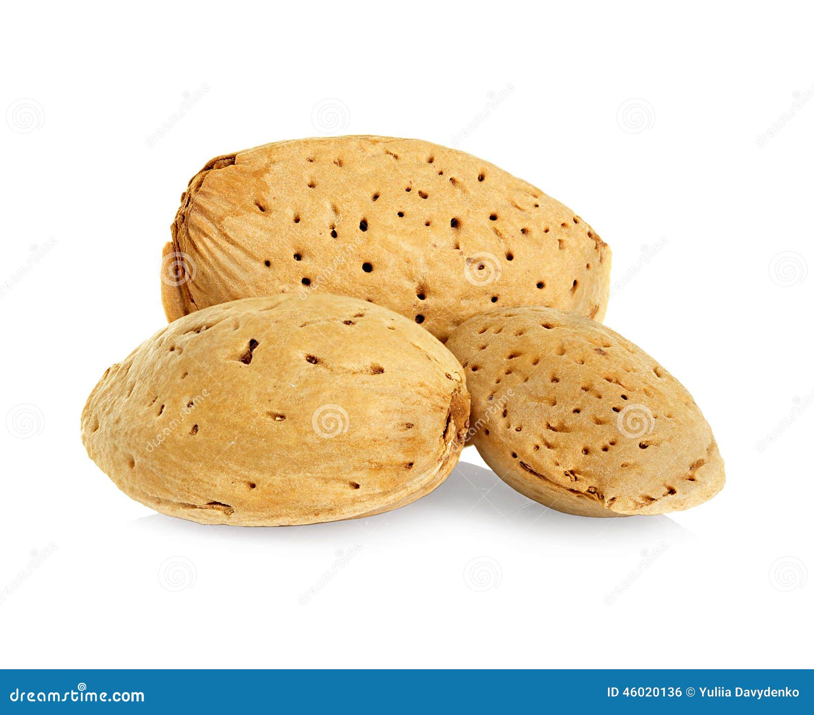 Almond Nut in Shell Isolated on a White Stock Photo - Image of eating ...