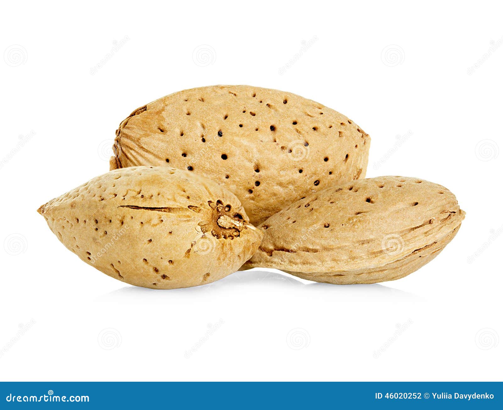 Almond Nut In Shell Isolated On A White Stock Photo - Image of color ...