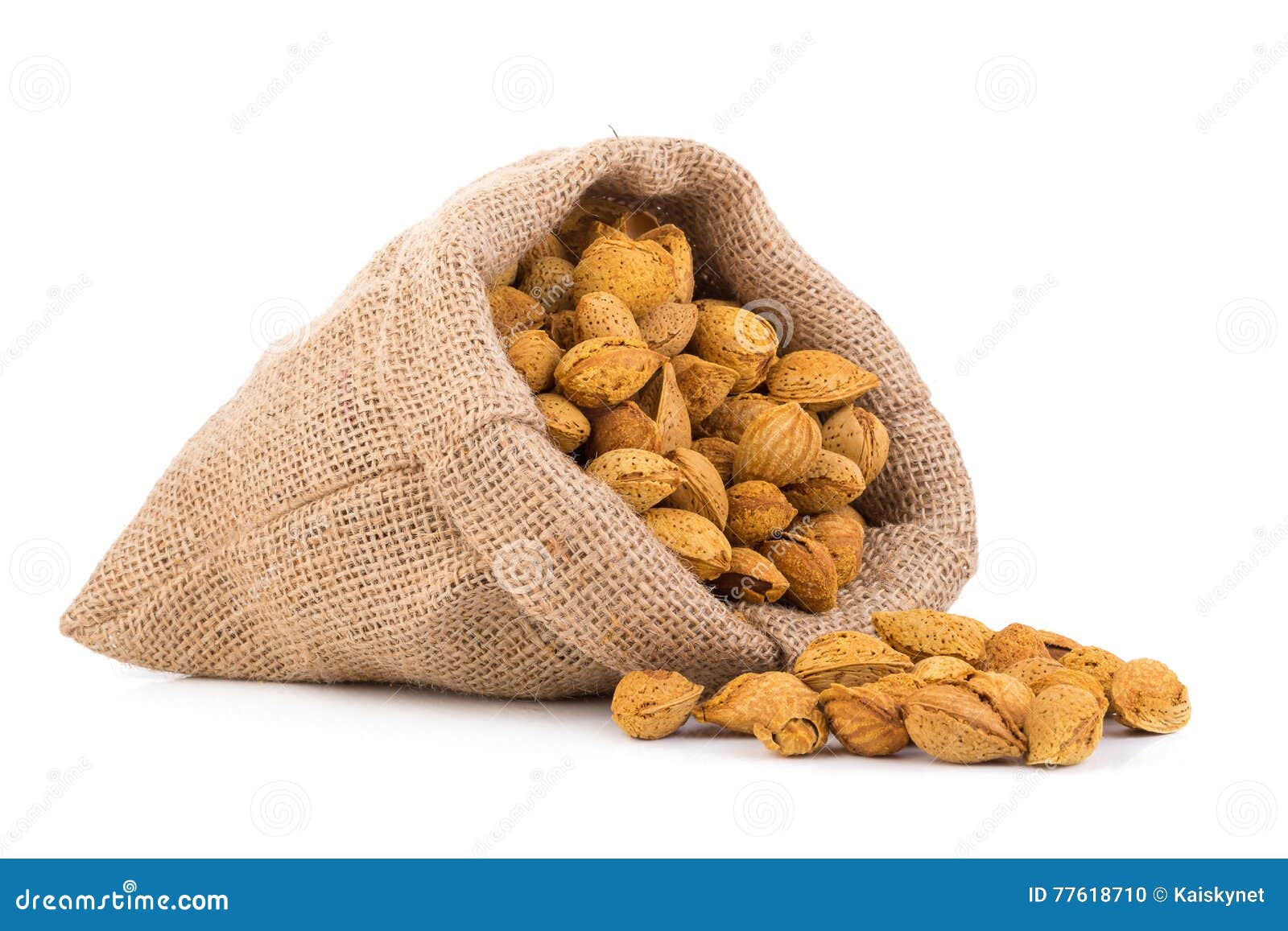 Almond Nut in Shell and Shelled Isolated on White Background Stock ...