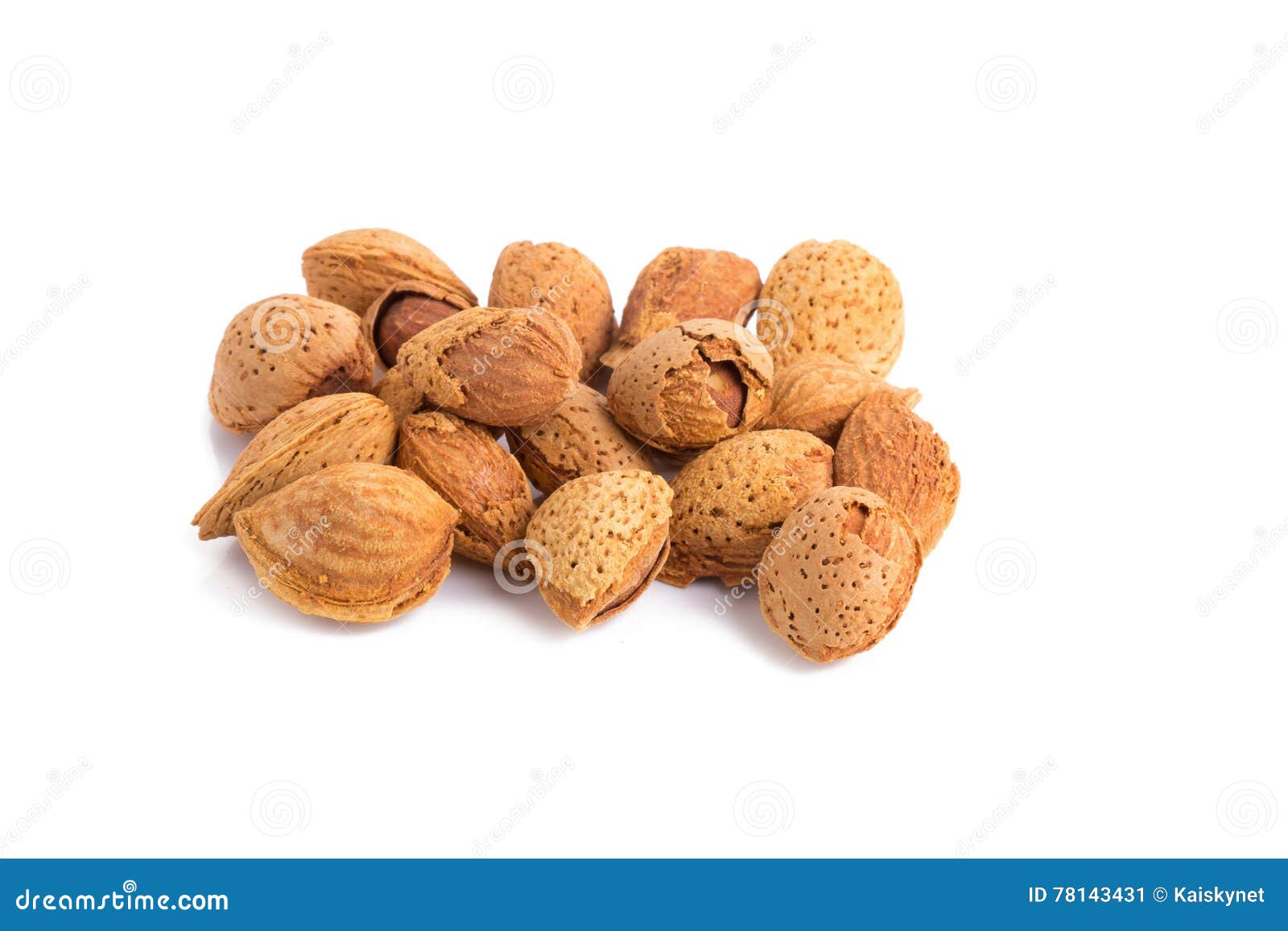 Almond Nut in Shell and Shelled Isolated on White Background Stock ...