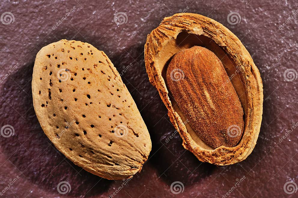 Almond Nut in Shell and Shelled Stock Image - Image of healthy, fresh ...