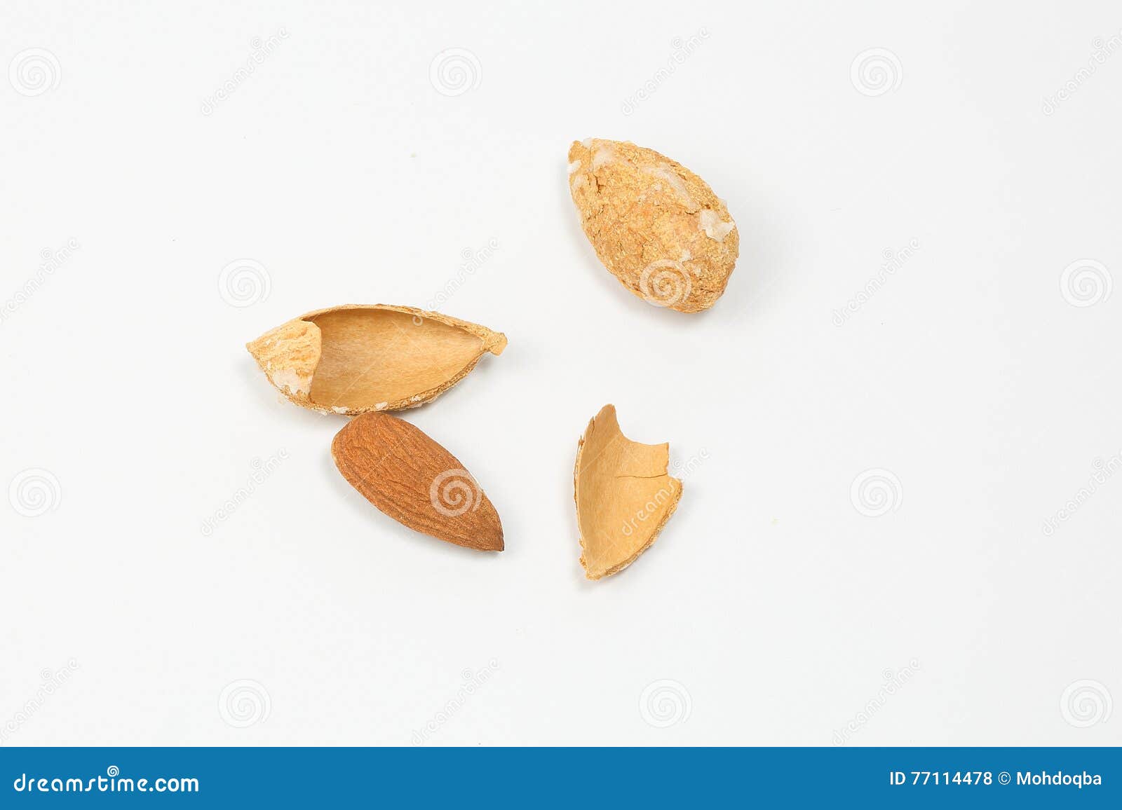 Almond nut in shell stock photo. Image of organic, healthy - 77114478