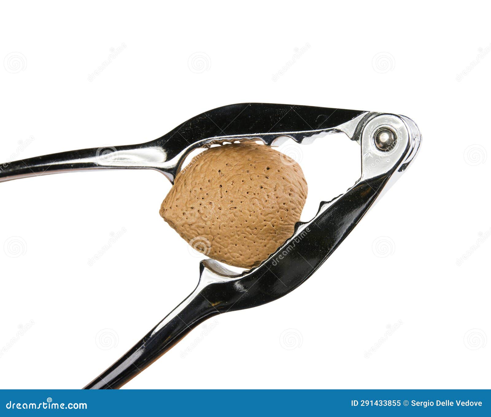 An almond in a nutcracker stock image. Image of seasonal - 291433855