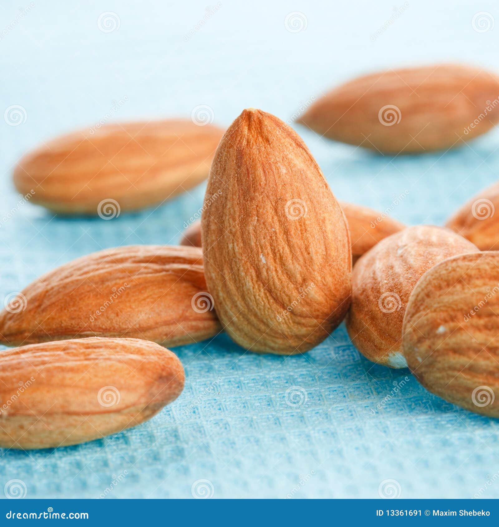 Almond nuts stock image. Image of plant, almond, ingredient - 13361691
