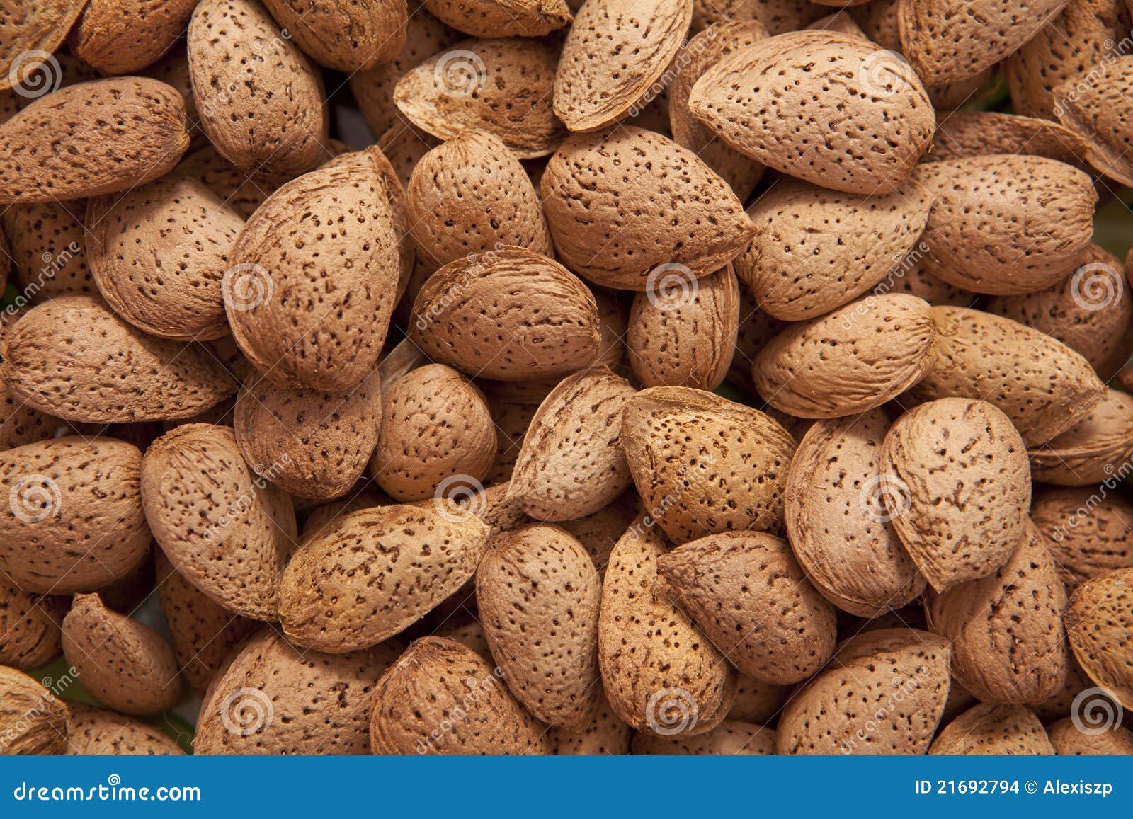Almond nuts stock photo. Image of hazelnuts, nutrient - 21692794