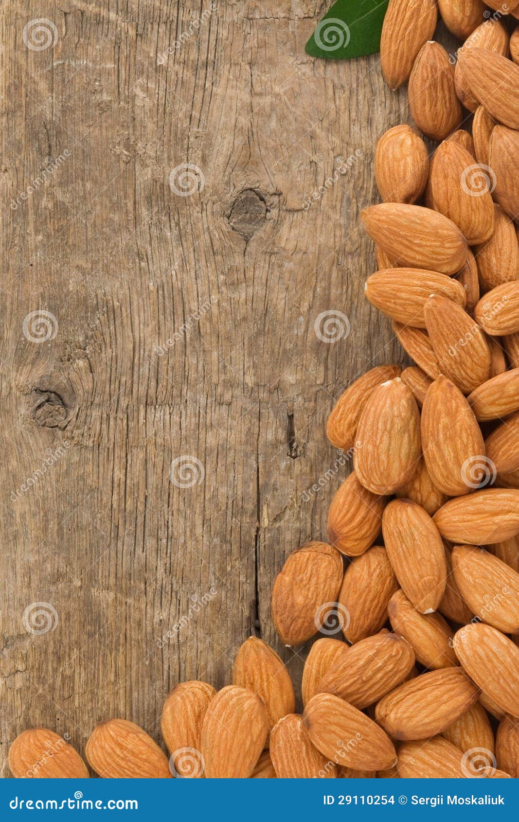 Almond nuts stock photo. Image of fresh, closeup, brown - 29110254