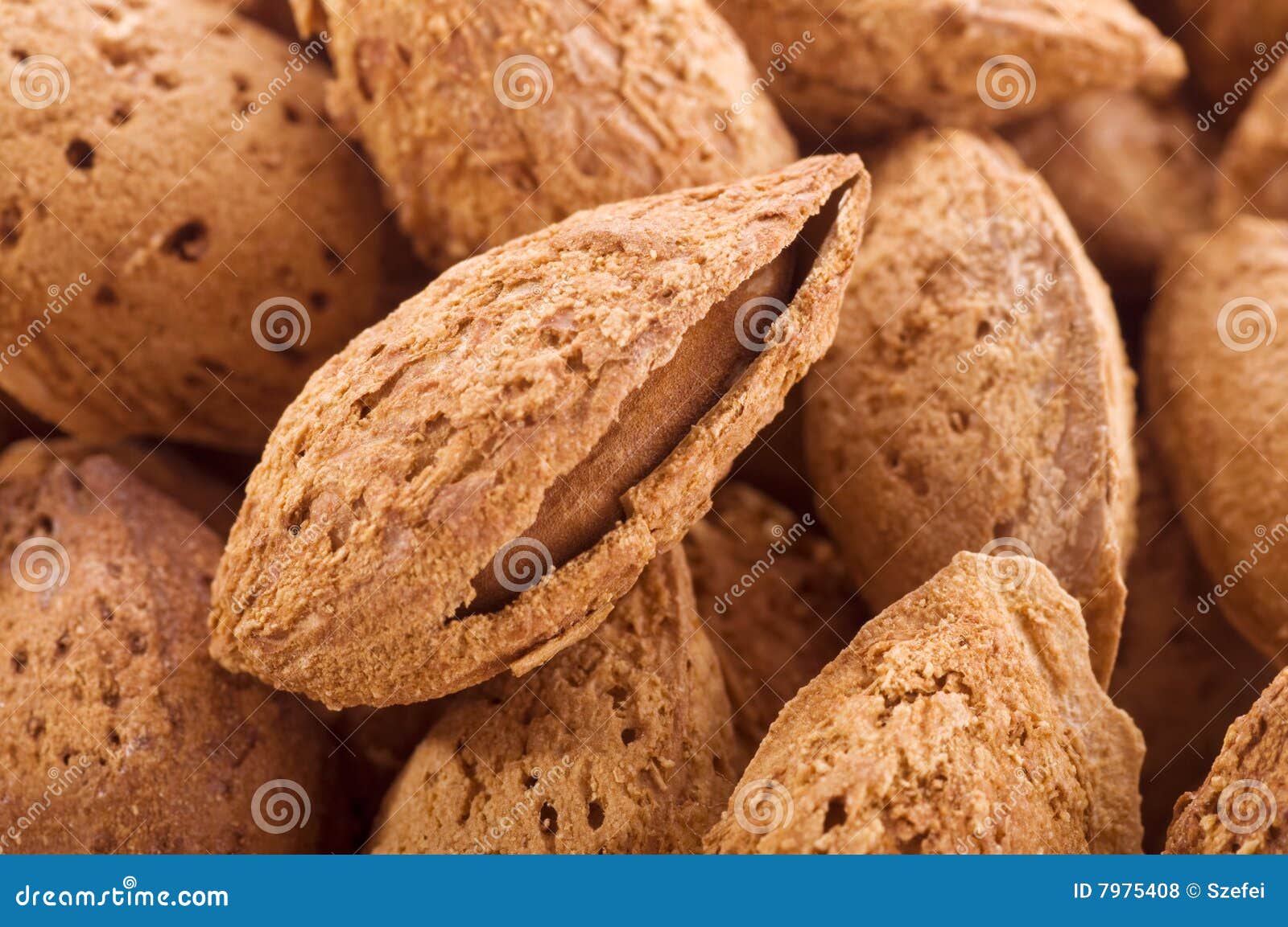 Almond Nuts stock photo. Image of dieting, almonds, close - 7975408
