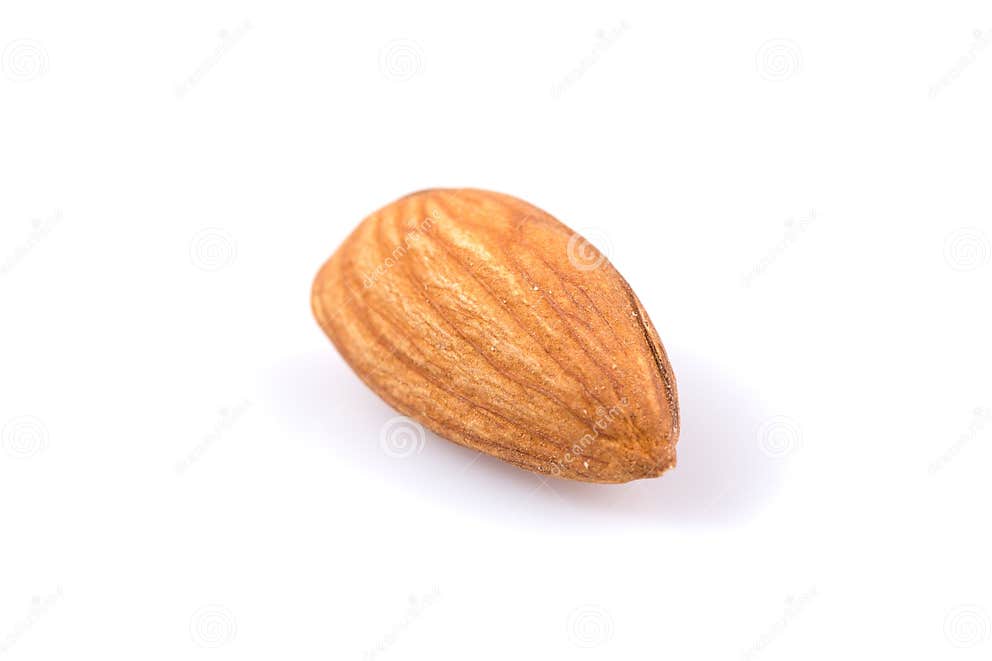 Almond nuts stock photo. Image of closeup, almond, core - 279434742
