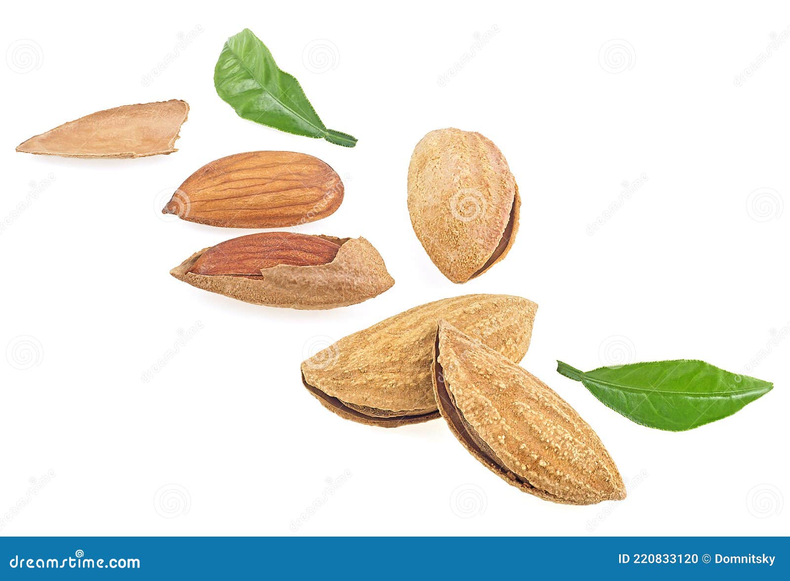 Almond Nuts with Green Leaves Isolated on White Background. Almonds in ...