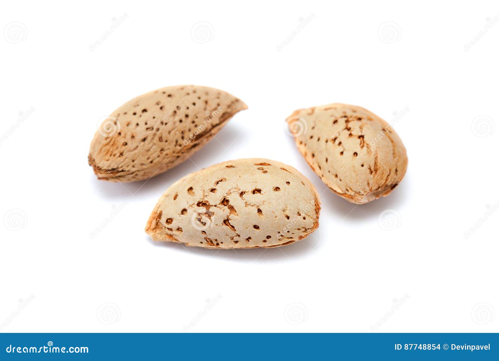 The almond nuts in shell stock photo. Image of botany - 87748854