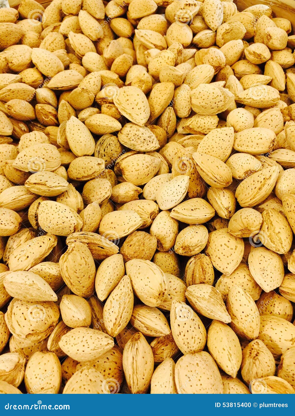 Almond, nuts stock photo. Image of shop, healthy, fruit - 53815400