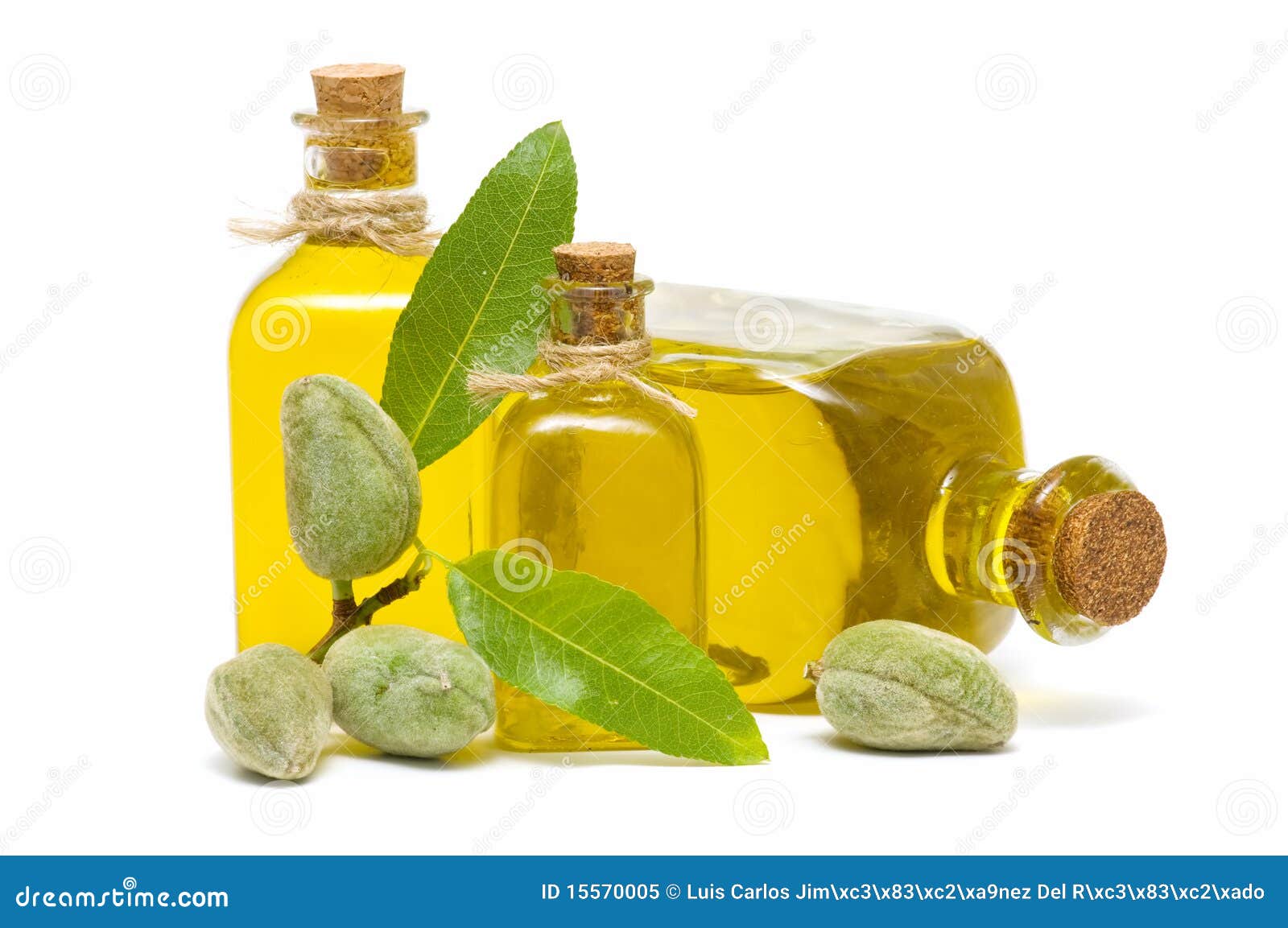 Almond oil stock image. Image of harvest, living, tree - 15570005