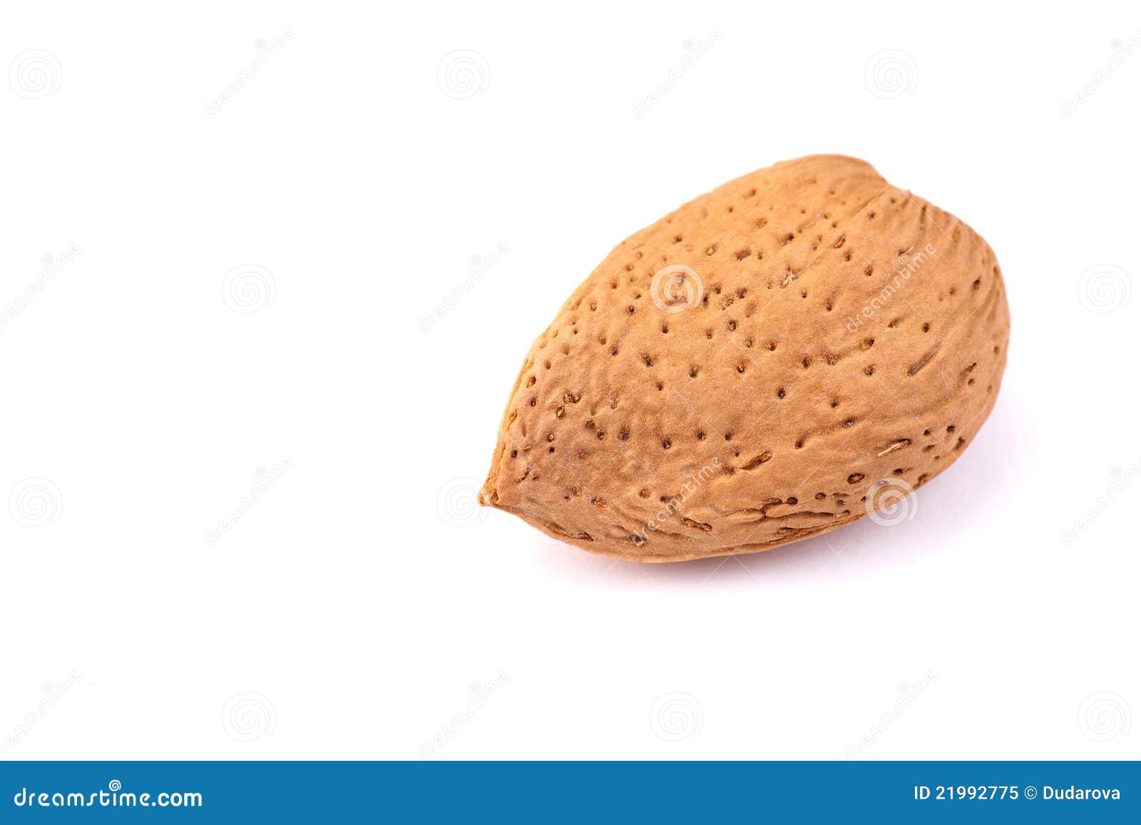 Almond in shell stock image. Image of nutritional, nutrition - 21992775