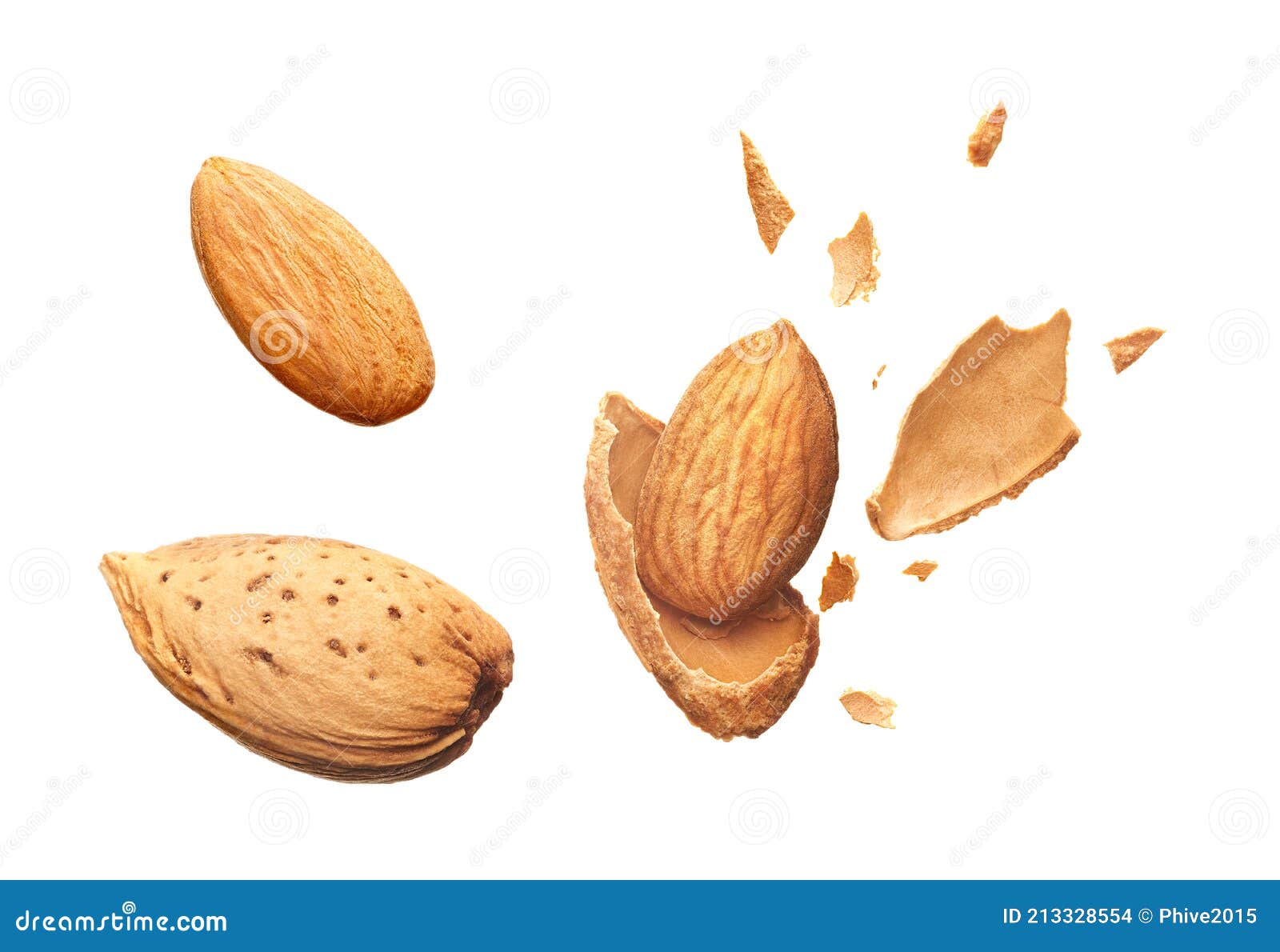 Almond Shell Cracked into Pieces and Whole Almond Stock Photo - Image ...