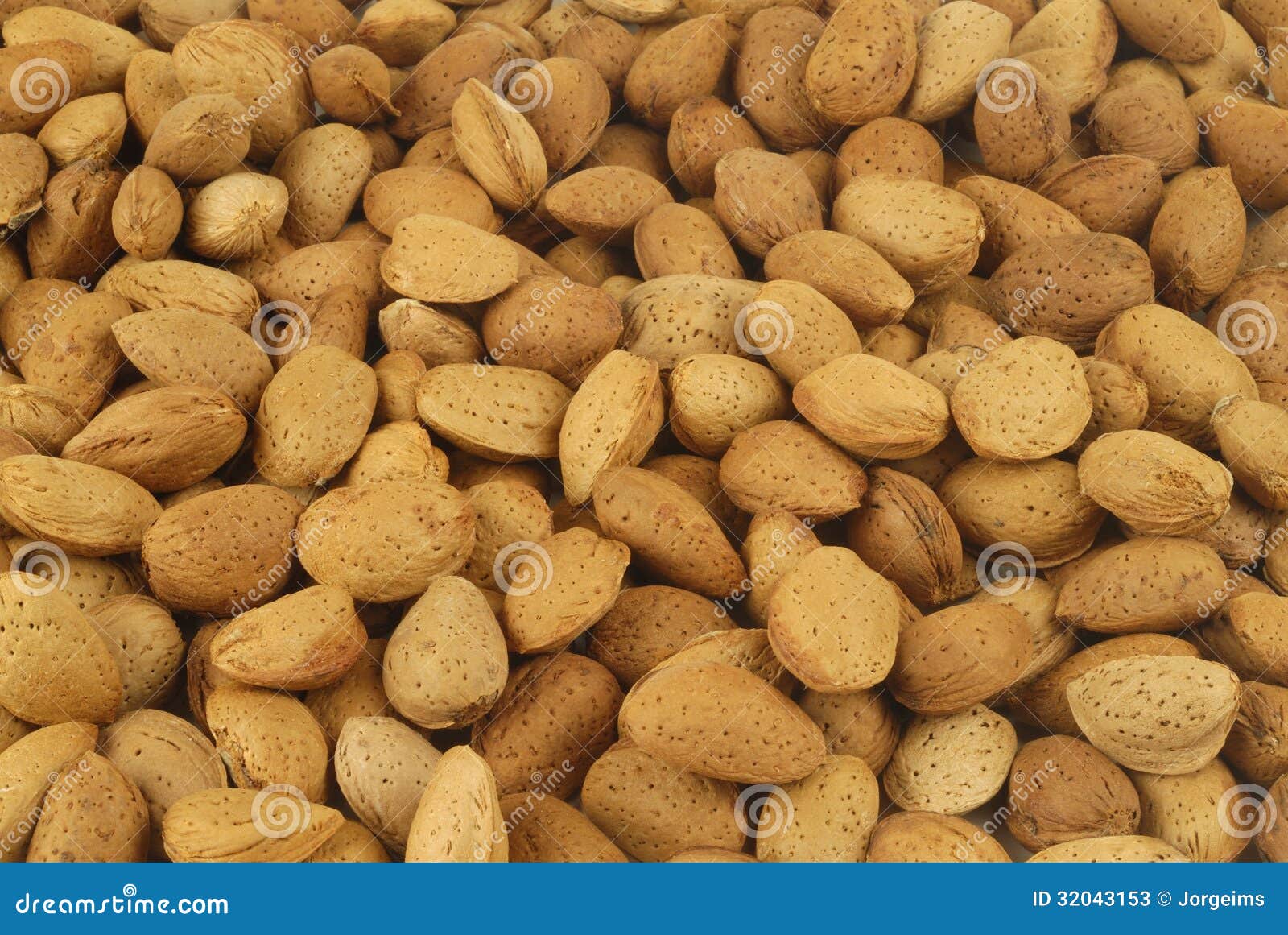 Almond shell stock image. Image of almonds, tasty, nutrition - 32043153