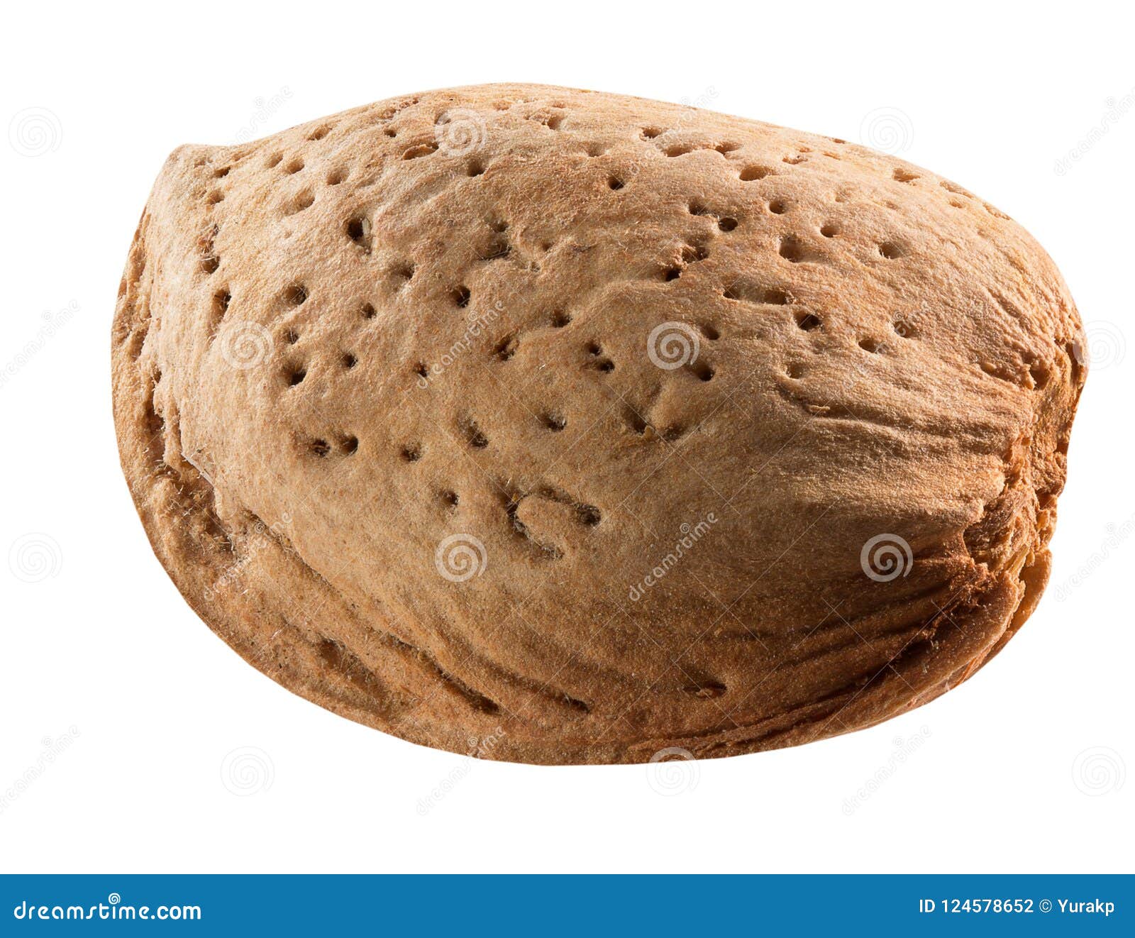 Almond in Shell Isolated on a White Background Stock Photo - Image of ...