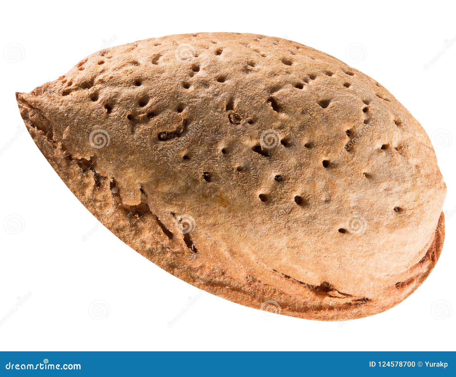 Almond in Shell Isolated on a White Background Stock Photo - Image of ...