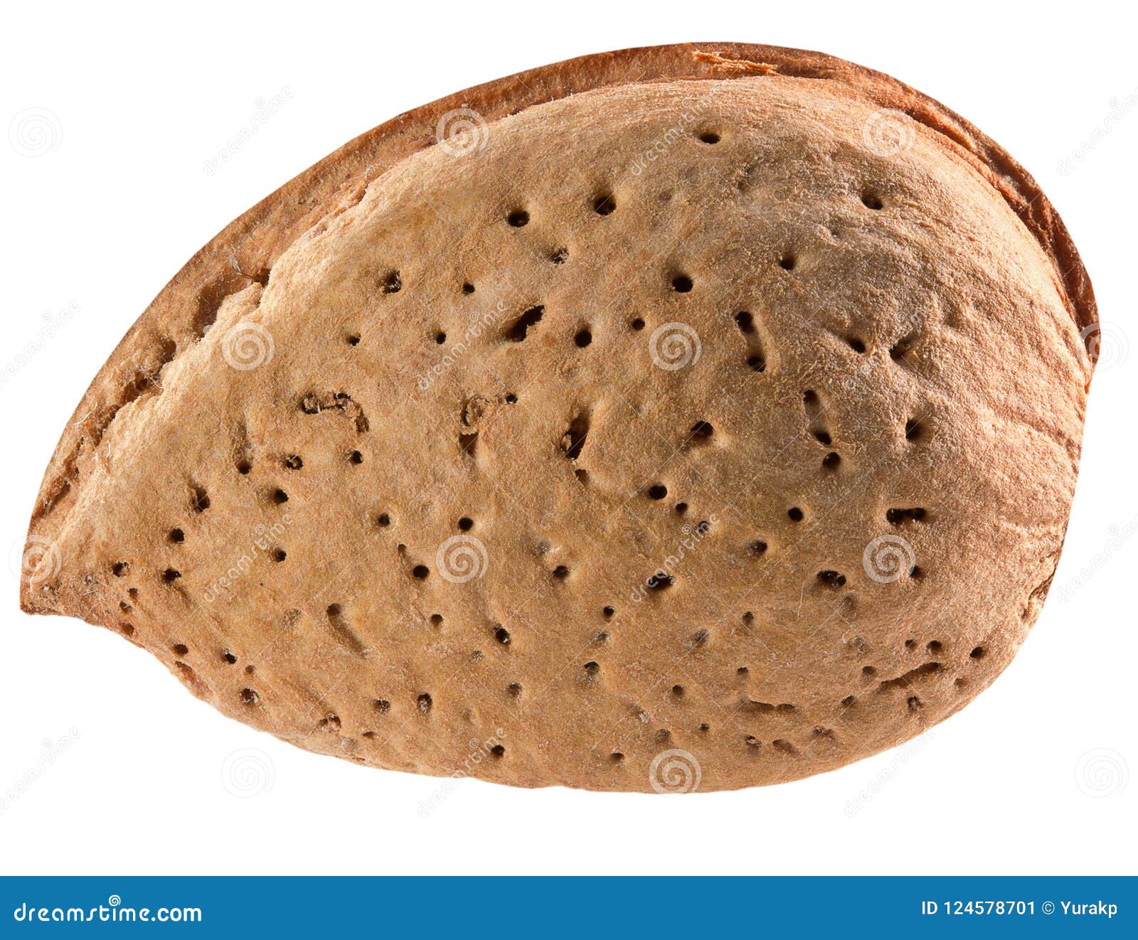 1,019 Almond Nut Shell Shelled Isolated White Background Stock Photos ...