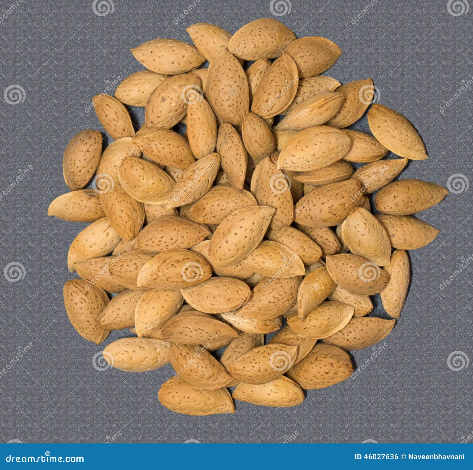 Almond with shell stock photo. Image of dryfruits, almonds - 46027636