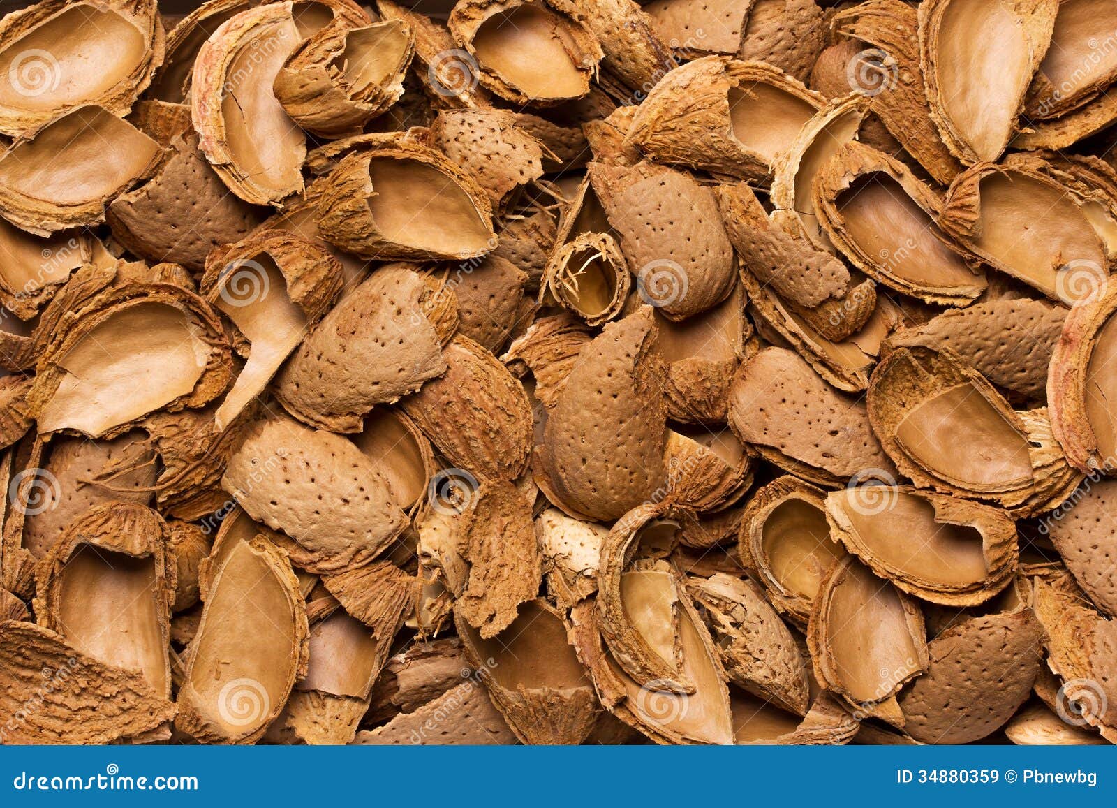 Almond Shells in the Background Stock Image - Image of hull, closeup ...