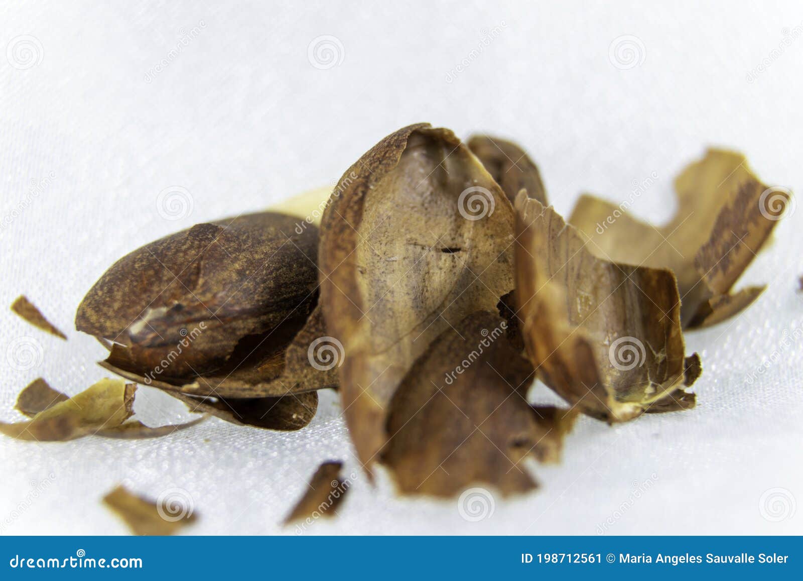 Almond skins. stock image. Image of almonds, almond - 198712561